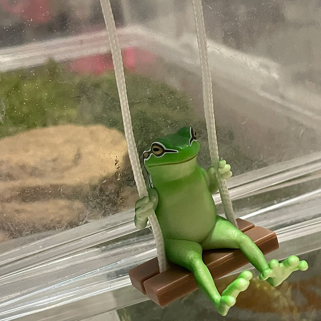 Genuine Japanese KITAN frog capsule sitting on the swing amphibian and ...