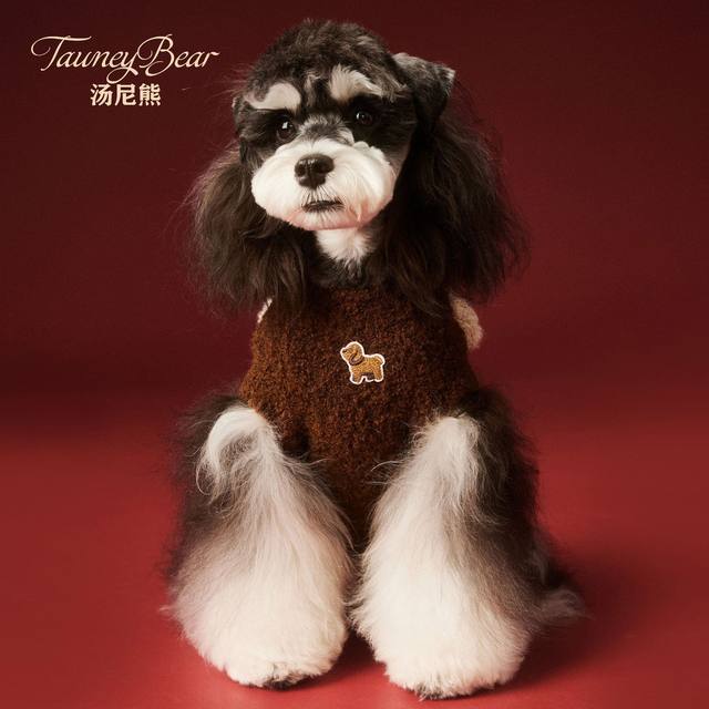 Tony Bear Dog Clothing Autumn and Winter Snowysti Teddy cute puppy ...