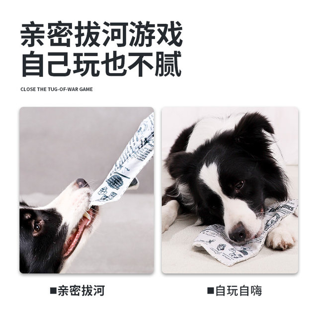 Pet dogs vocal, toys, paper newspapers, grabbing grabbing grinding ...