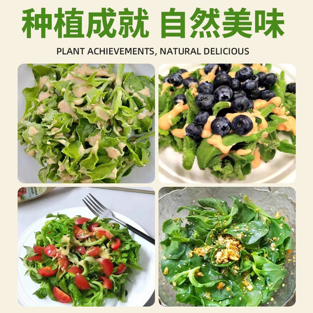 Crystal Ice Vegetable Seeds Balcony Vegetable Seeds Daquan Four Seasons ...