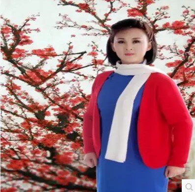 Shajiabang stage performance costume Xier costume village girl ...