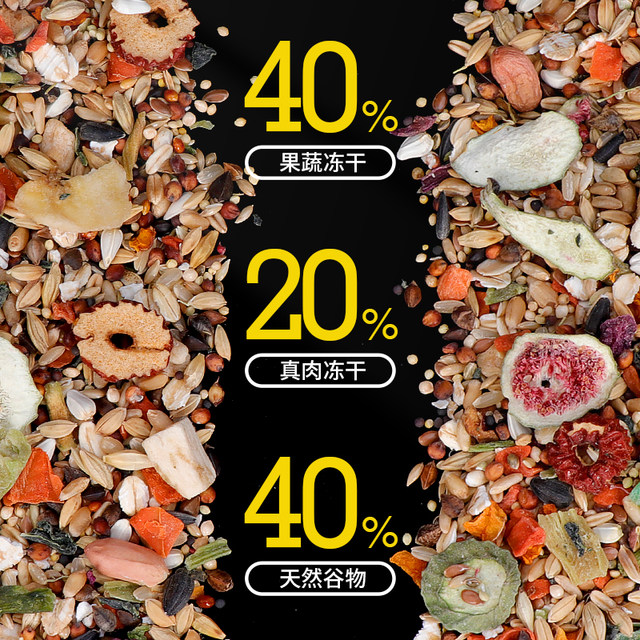 Squirrel Dr. Fruit and Vegetable Hamster Grain Golden Wire Bear Flower ...