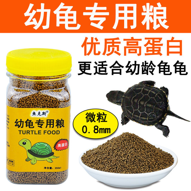 Young turtle grain Small turtle special grain seedlings opening grain ...