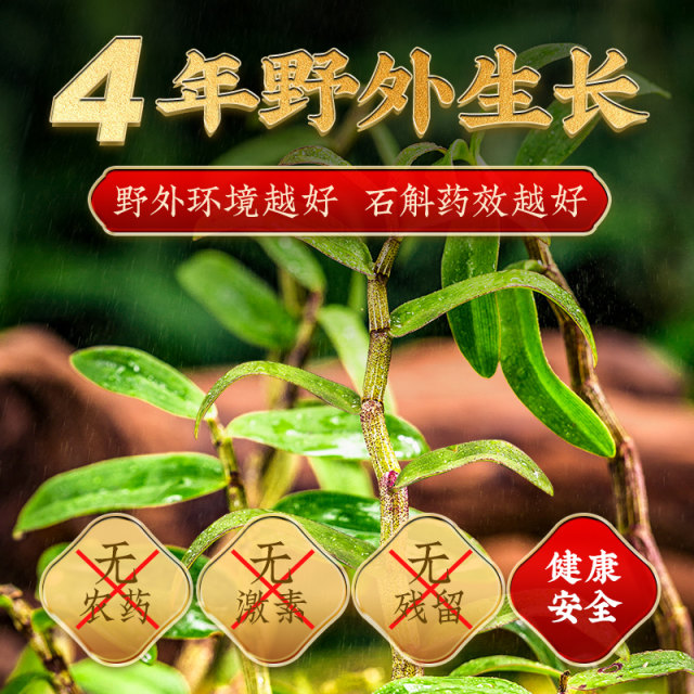 Authentic Huoshan Dendrobium officinale fresh strips pure powder dried ...