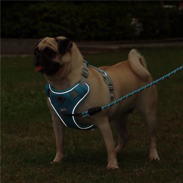 Dog vest type traction rope small dog walking rope French Dou Bago ...