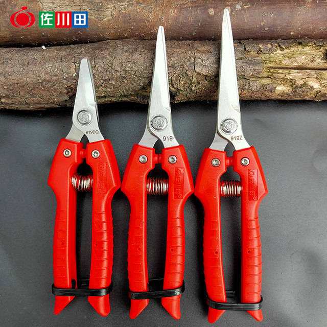 Sagawada 919 fruit picking scissors, fruit thinning scissors, flower ...