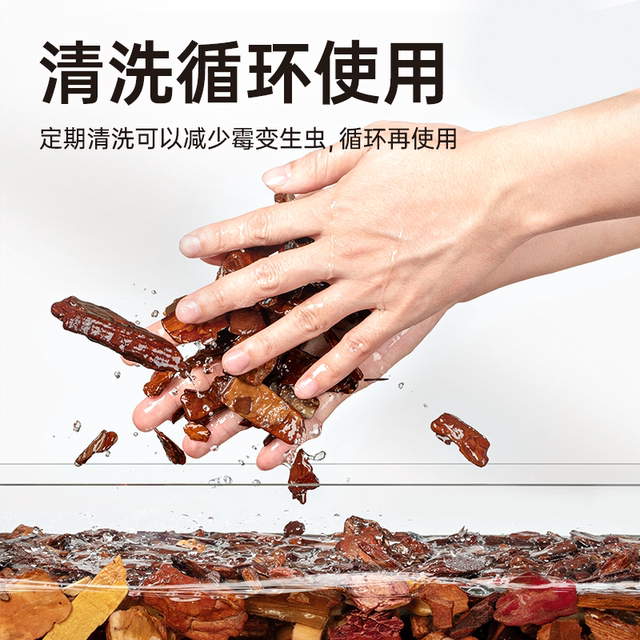 Its scale forest floor crawling pet pine bark bedding material turtle ...