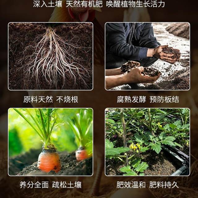 Pure chicken manure fermented organic fertilizer for growing vegetables ...