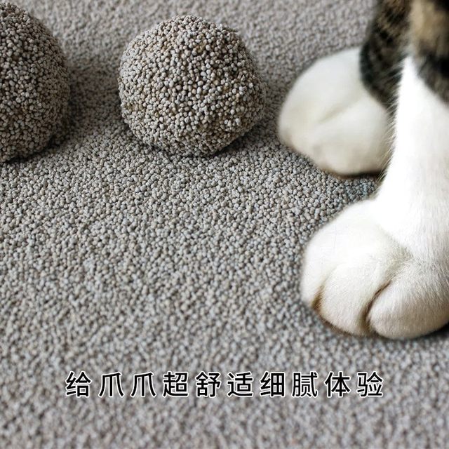 Heyuan Mineral Prolonged Cat Sand 10 kilograms of original small ...