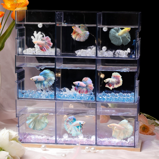 Dou fish tank transparent acrylic building block box desktop small ...