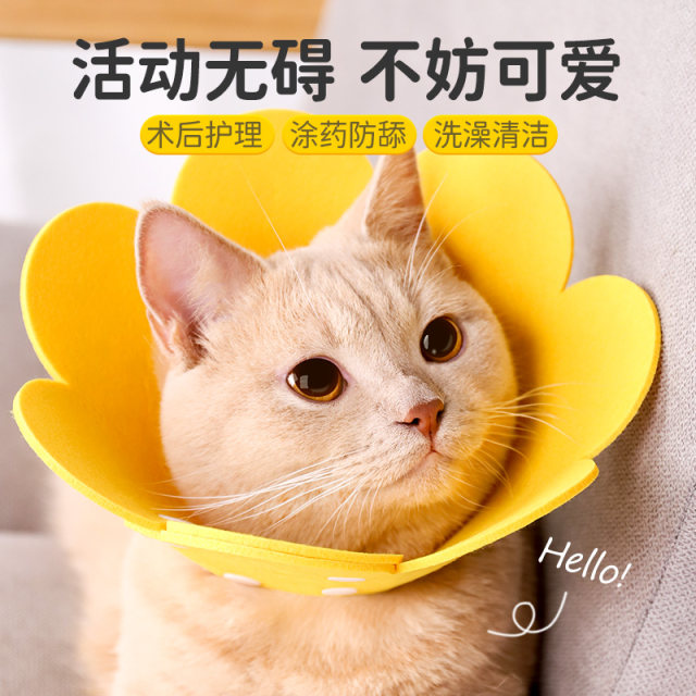 Elizabeth collar cat sterilization collar cat headgear anti-licking ...