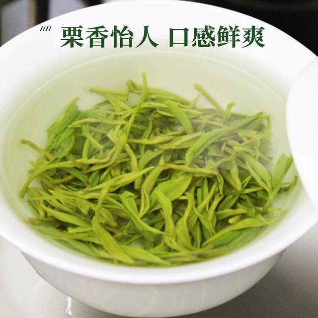 Mengding Maofeng Green Tea 2025 Ming Dynasty New Tea Spring Tea Ya'an ...