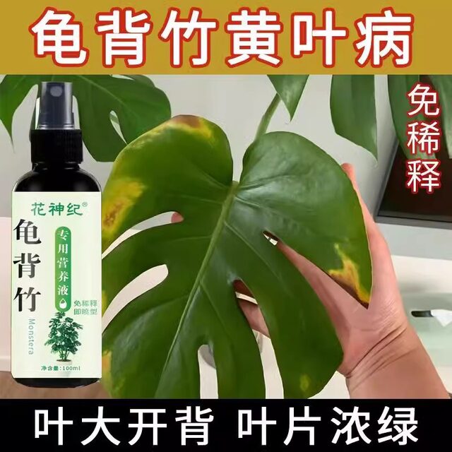 Evergreen Monstera nutrient solution special fertilizer yellow leaf ...