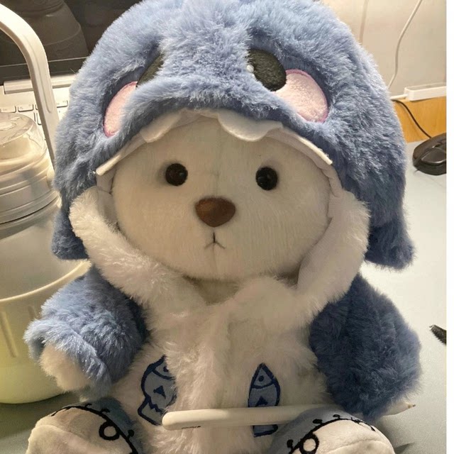 Genuine Linami bear plush toy dolls to give to girls’ best friend’s ...