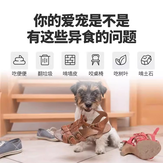 Pica in dogs prevents dogs from eating feces and soil and grass ...