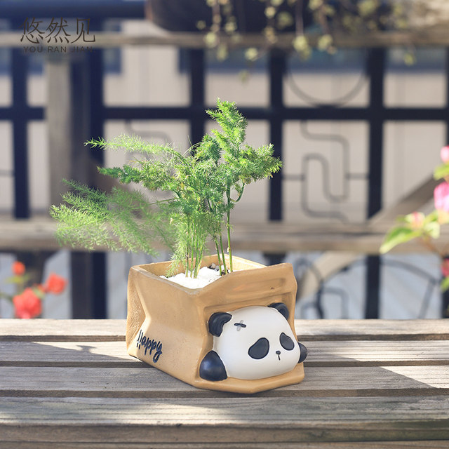 Trick or Treat Little Bear Flower Pot Cute Panda Succulent Flower Pot ...