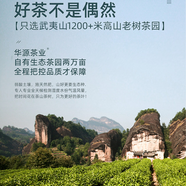 Huayuan Authentic Wuyishan Zhengshan Xiaozhong Black Tea Special Tea ...