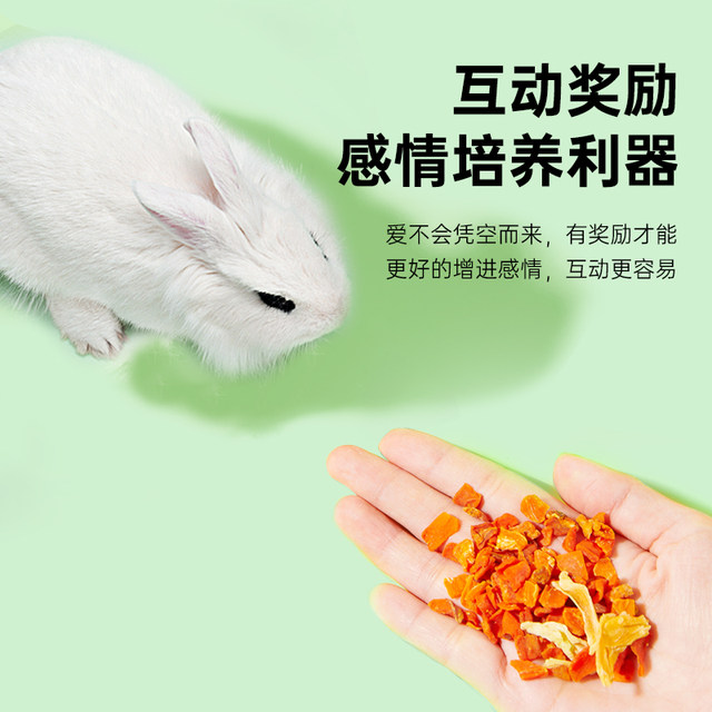 Rabbit snacks for teething, freeze-dried fruits, dried carrot snacks ...