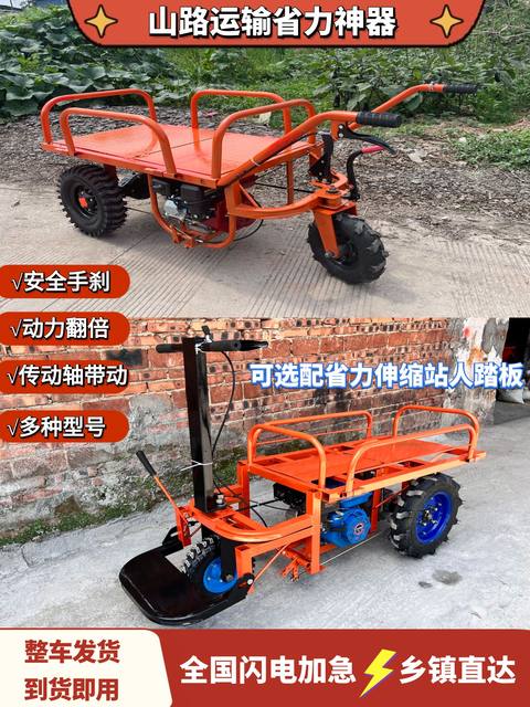 Diesel gasoline electric tablet tricycle The beries, the chicken bus ...