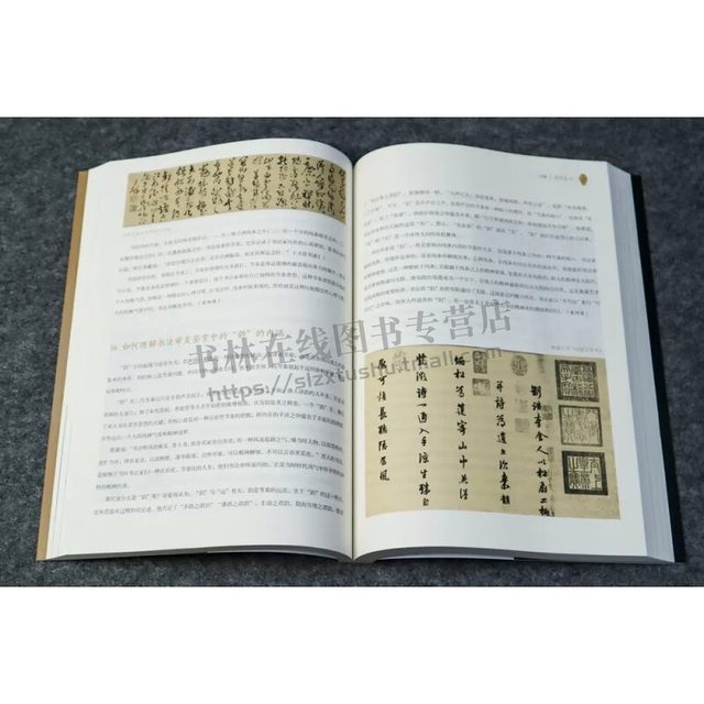 Introduction to the core literacy of calligraphy by Cui Shuqiang Books ...