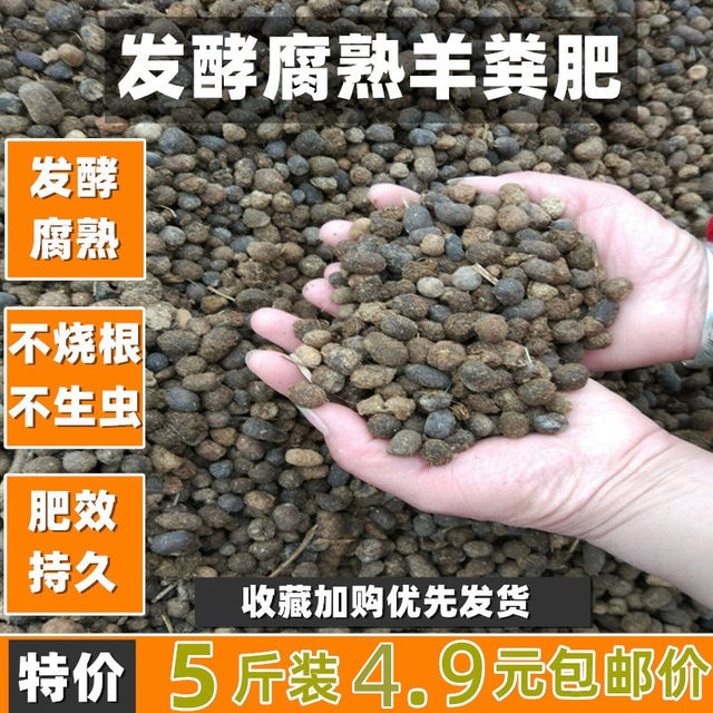 Household fermented chicken manure organic fertilizer for growing ...