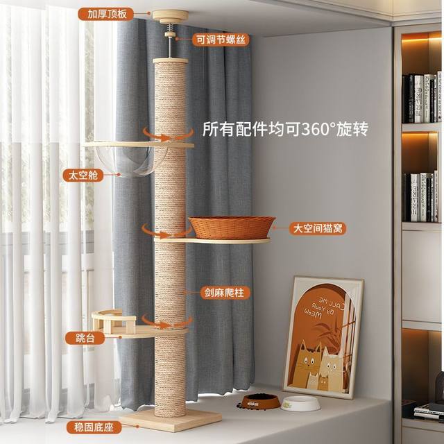 Small apartment with bay window, cat climbing frame, cat nest, cat tree ...