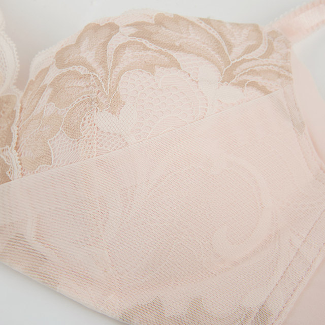 Dai series age-defying rose sexy lace without steel ring push-up breast ...