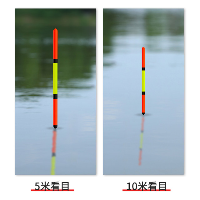 Great object reed floating far -bearing explosion -top snappel fish ...