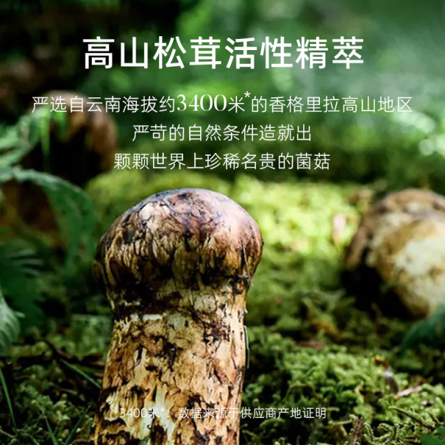 Botanical Doctor Alpine Matsutake Set Gift Box Skin Care Products ...