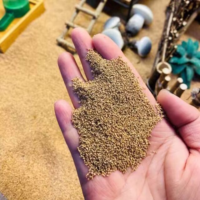 Rutin chicken walnut sand lining material to remove smell and dust-free ...