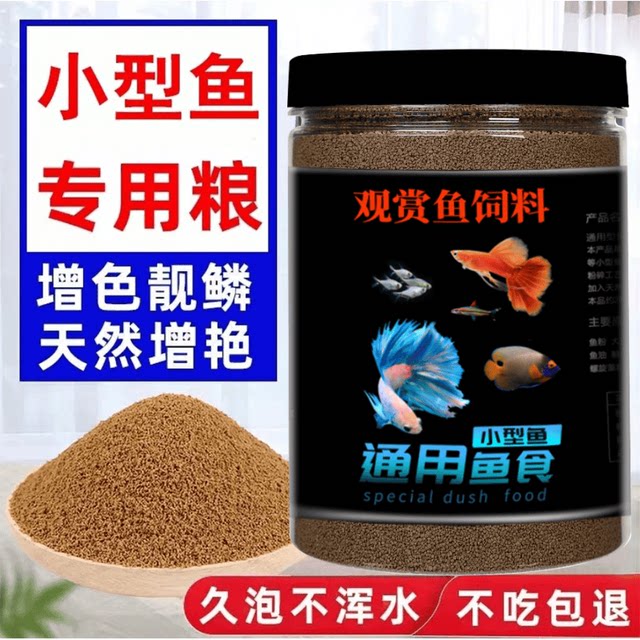 Zebrafish fish feed fish feed small fish eating betta goldfish ...