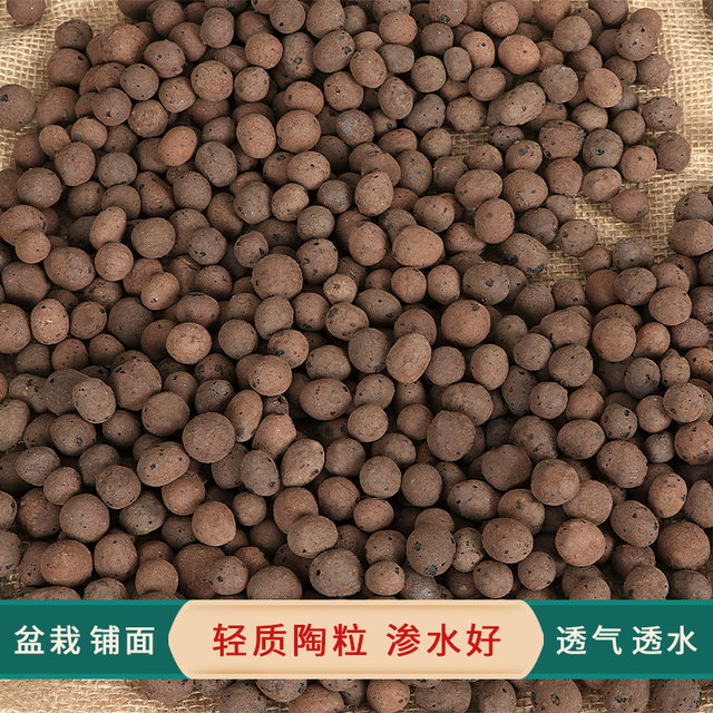 Ceramic pellet breathable bottom ceramic ball succulent nutritious soil ...