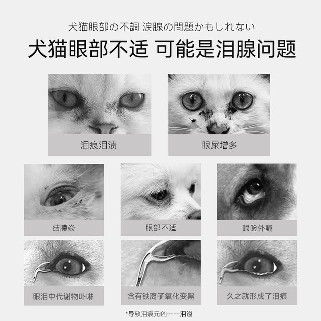 Japanese vek tear marks Remove liquid pet dog cat tear marks to Xiong ...