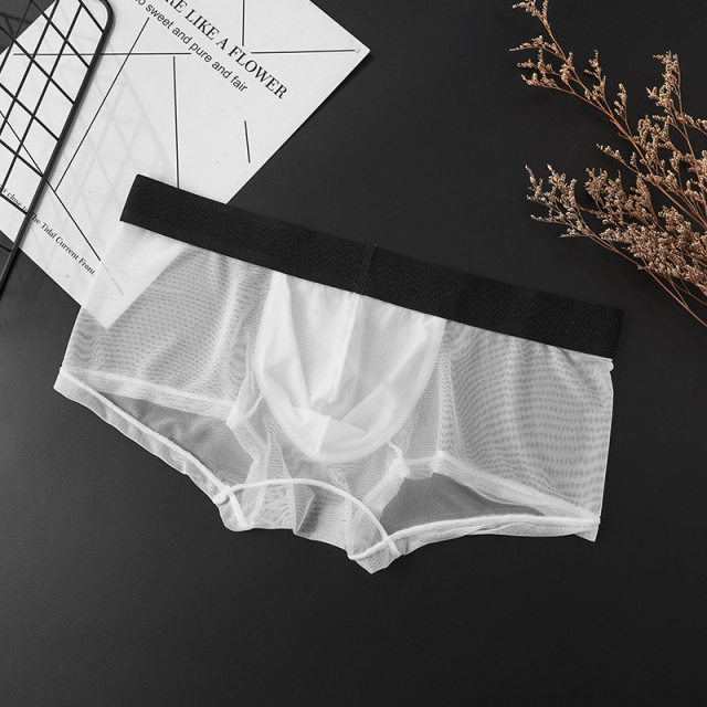 Men's mesh ice silk U-convex low-waisted thin transparent sexy mesh ...