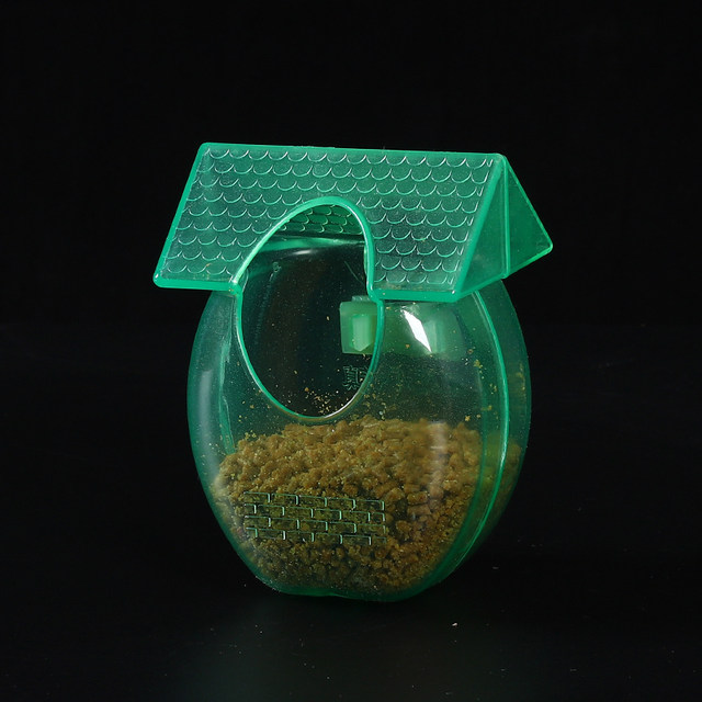 The new bird uses anti -Sprinkling bird food box to paint eyebrows ...