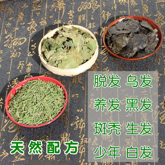 Platycladus orientalis leaf, mulberry leaf, Kuding tea, hair growth ...