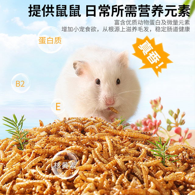 Bukaxing tripeworm dried hamster snack rudin chicken feed bird food ...