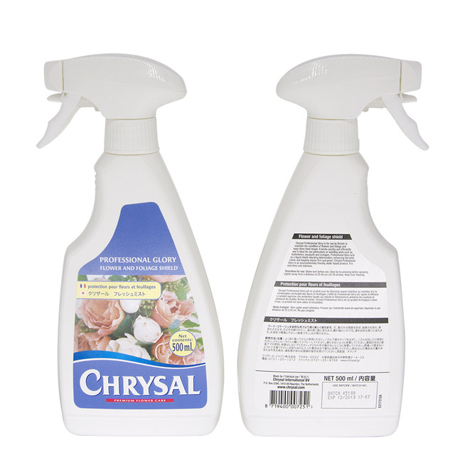 Imported from the Netherlands, Keli fresh flower locking agent florist ...