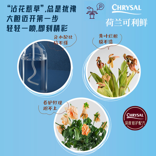 Imported from the Netherlands, Keli fresh flower locking agent florist ...