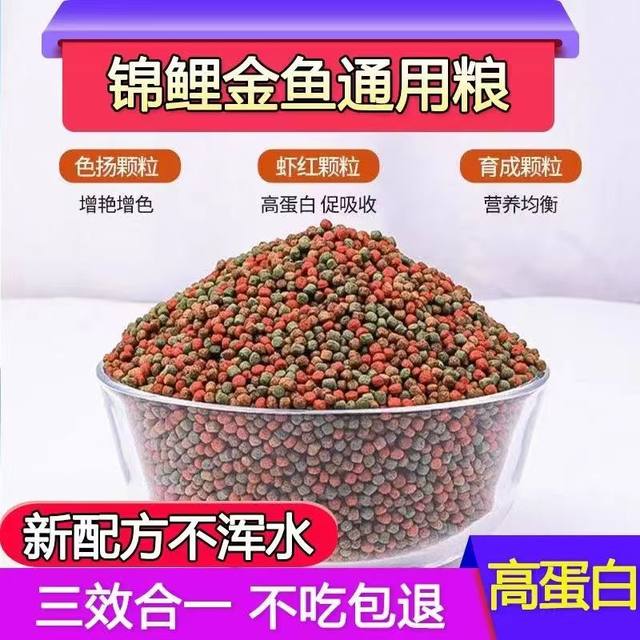 Fish and goldfish special high-protein cold water fish feed small ...