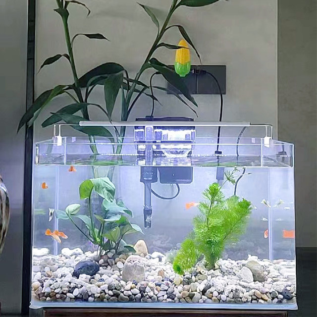 Glass high -definition hot -bent fish tank desktop living room small ...