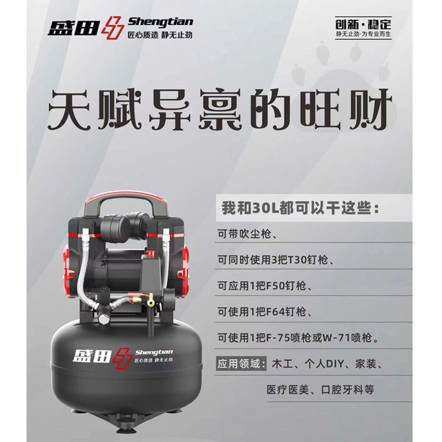 Shengtian Silent Oil-Free Air Compressor Industrial Grade 220V Large ...