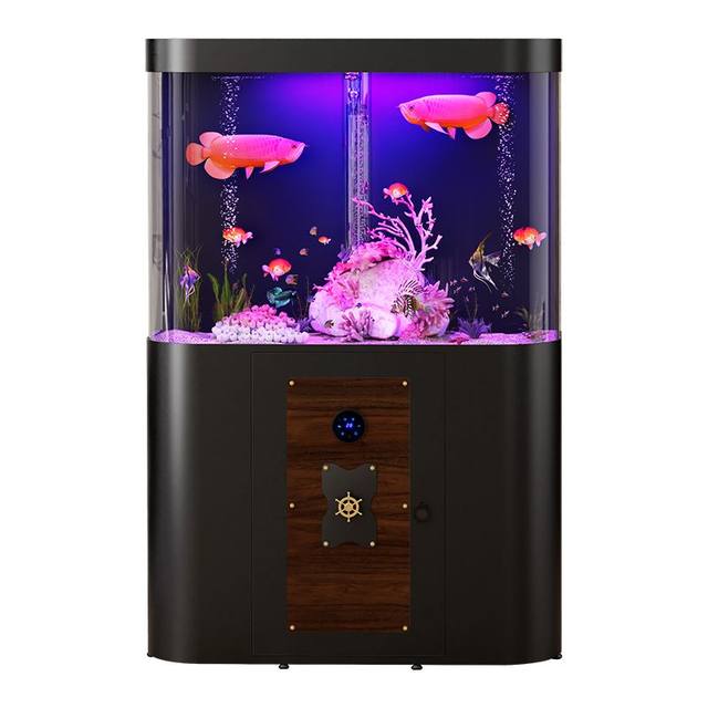 Ivas arc -shaped fish tank living room mid -size home -sized bottom ...