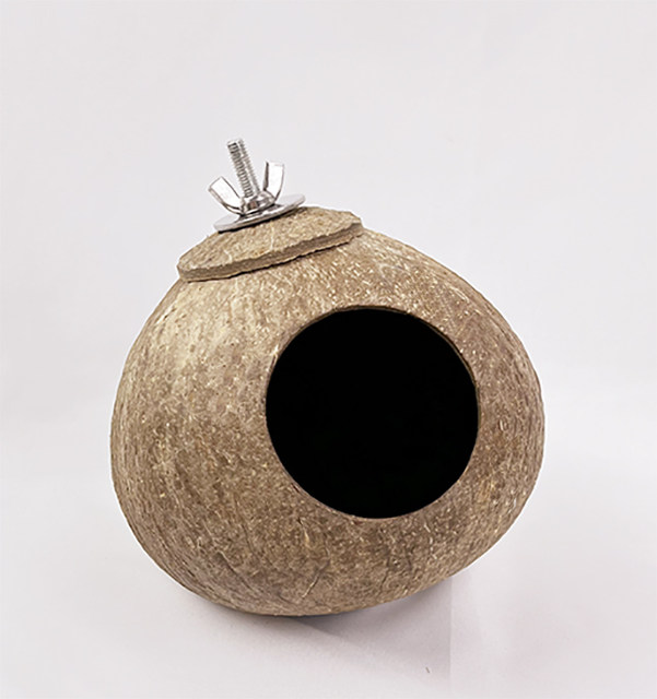 Parrot coconut shell bird's nest peony munia tiger skin bird's nest ...