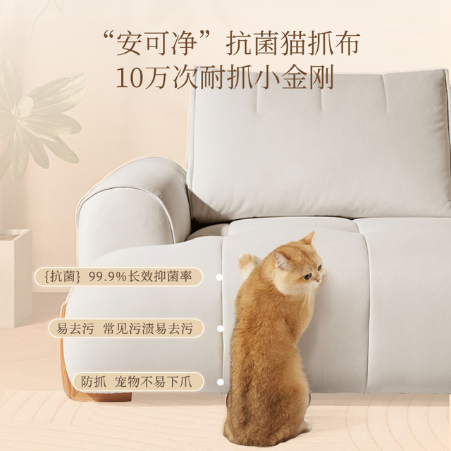 Gujiajiajiajiaju Cream Cat Cat Grab Small and Small Units Sitting Small ...