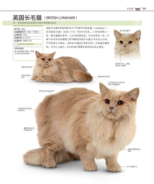 DK world famous cat domestication encyclopedia, the feeding method of ...