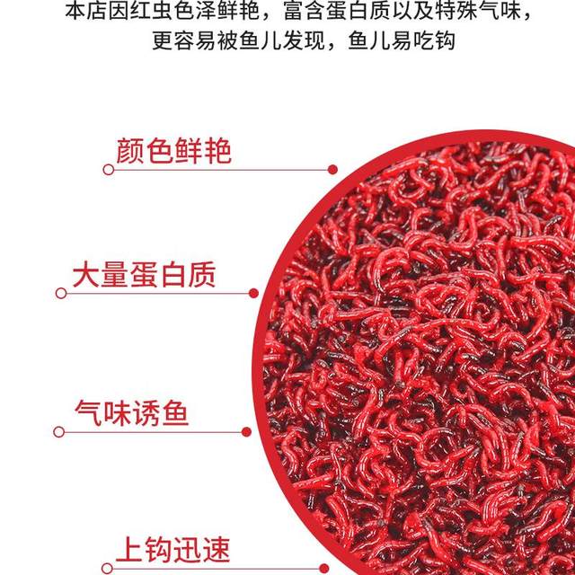 Fresh red worm bodies living bait live bait large hexagonal dinosaur ...
