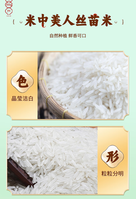 Nanfeng Fish Rice Silky Seedlings South Level 1 Long Grain White Indica ...