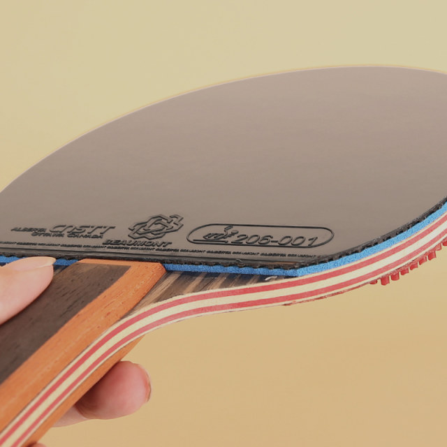 CnsTT Kestin long rubber table tennis racket professional base plate ...