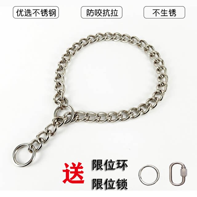 Pet stainless steel P-chain dog leash leash golden retriever 304 collar ...